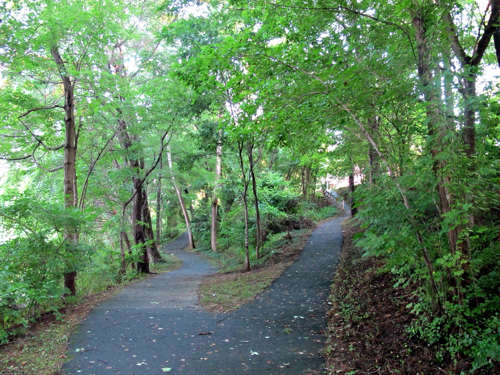 Walking Psychotherapy Appointments - Kentlands Psychotherapy